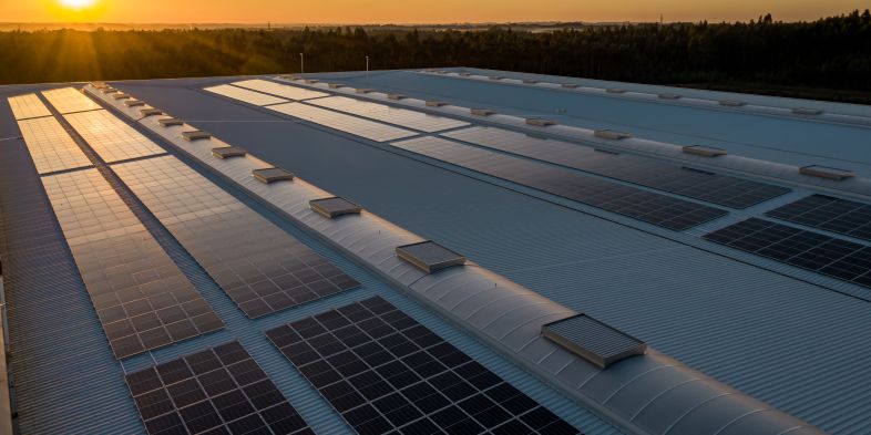 Commercial Solar Panels | PureVolt Solar