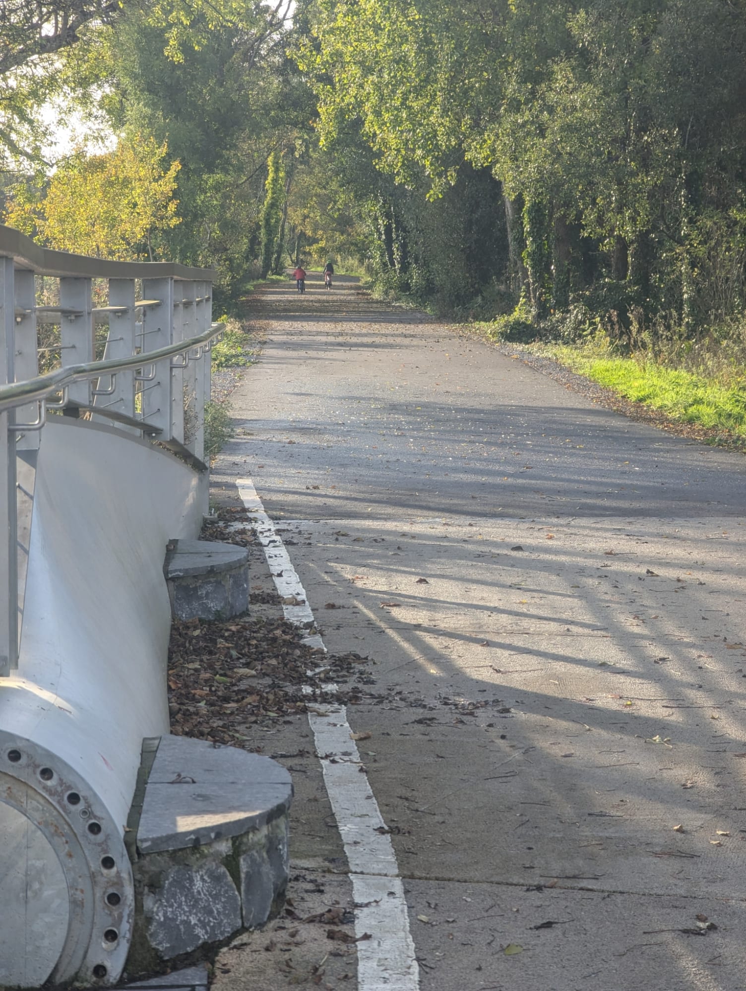 Wind Turbine Blades repurposed on Fitzfiddler's Bridge, Cork, Ireland